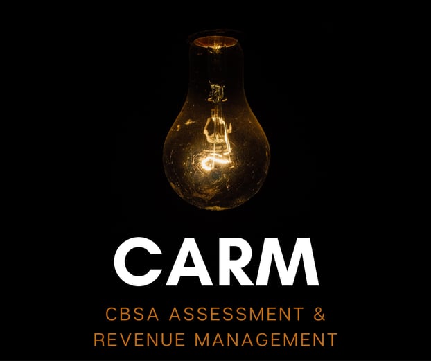 CARM Simplified: Step #3 - CARM Import Bonds (Financial security)