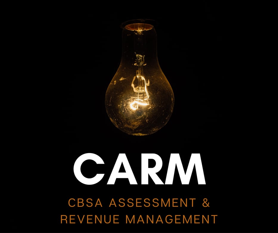 CARM Simplified: Step #3 - CARM Import Bonds (Financial security)
