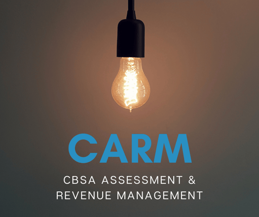 CARM Simplified: Step #2 - Delegation