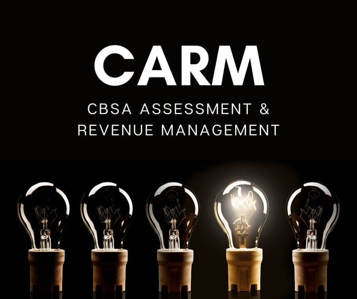 CARM Simplified: What does CARM mean for me?